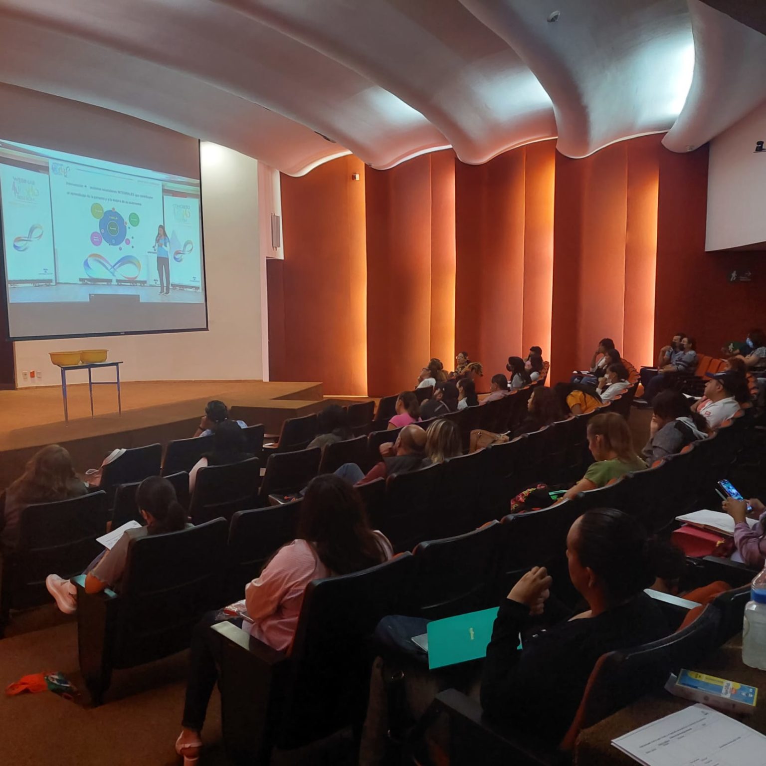 Uniendo esfuerzos por la inclusión: Reflexiones del Webinar Autismo ...